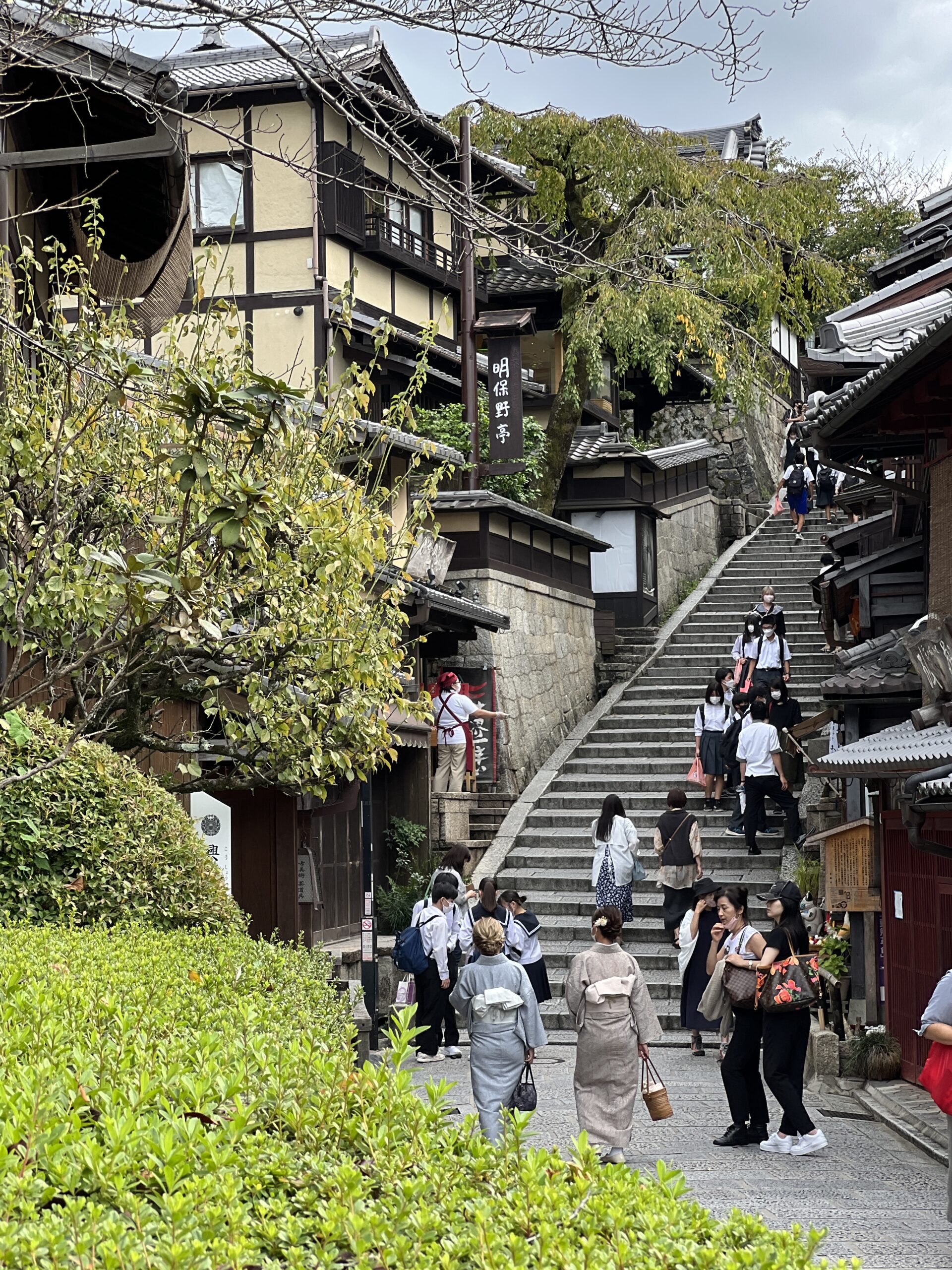 What Face Masks In Japan Are Like In Early 2023 (My Tourist Experience ...