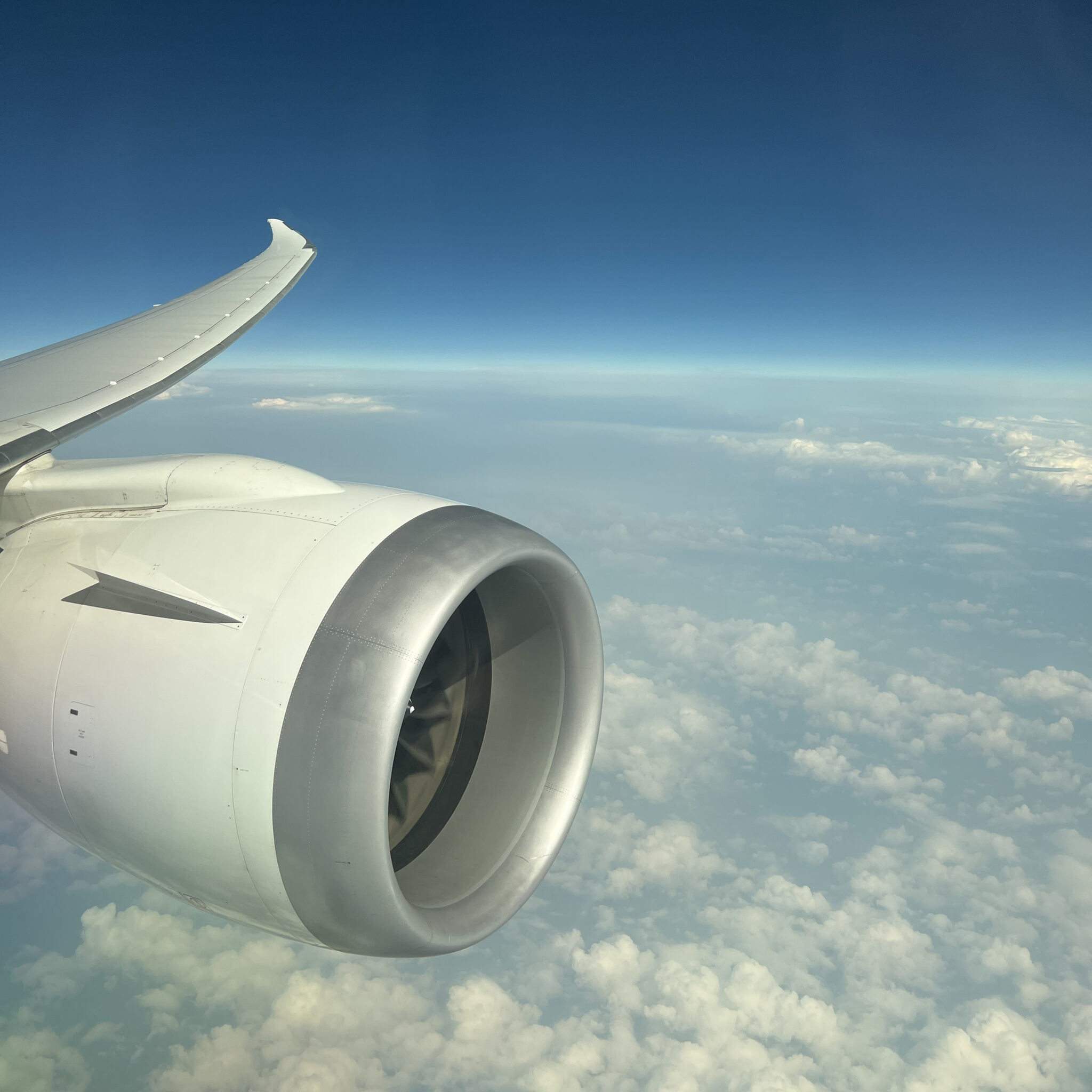 Review: WestJet 787 International Premium Economy In 2023 (Worth It ...