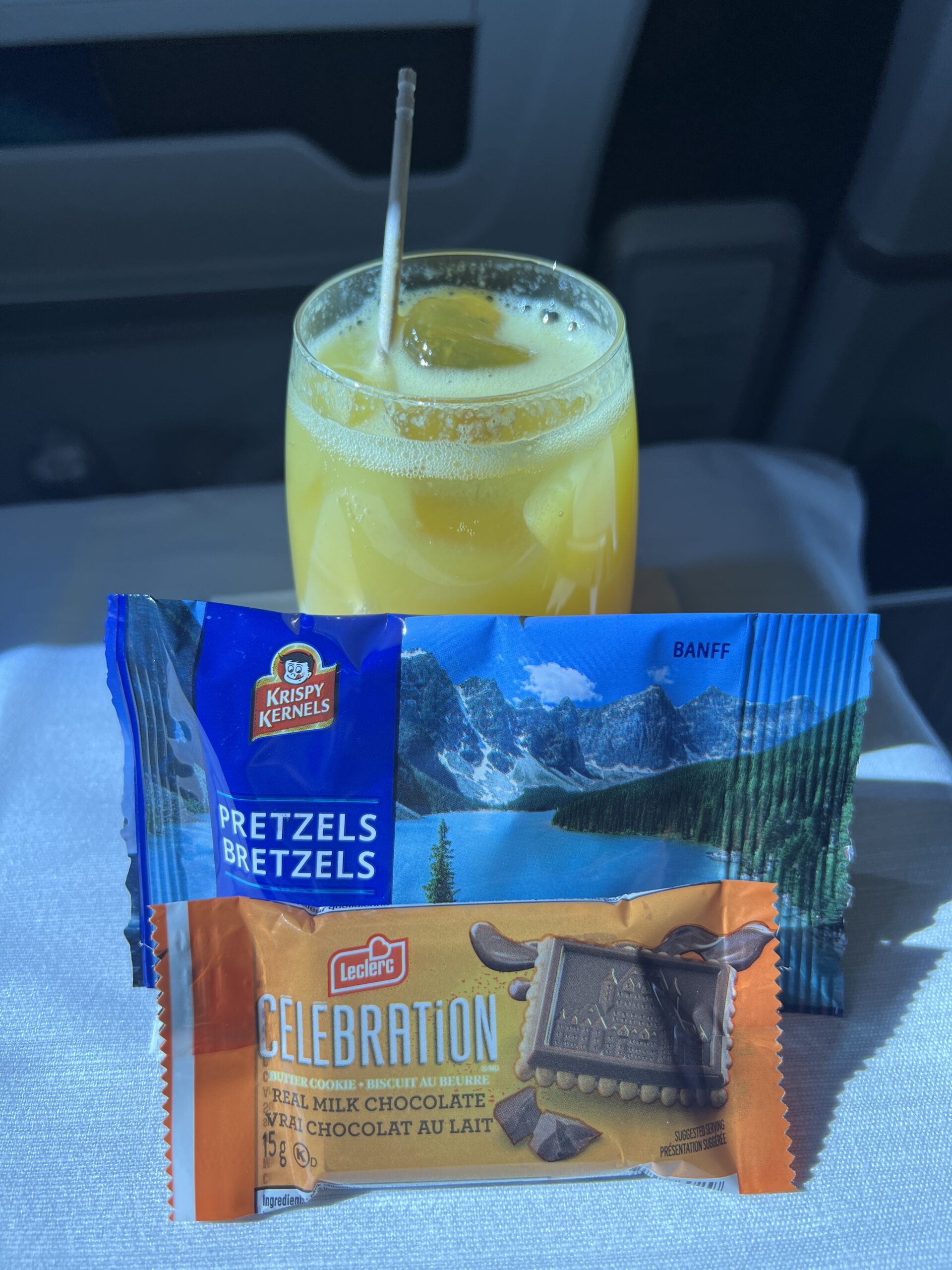 Review: WestJet 787 International Premium Economy In 2023 (Worth It ...